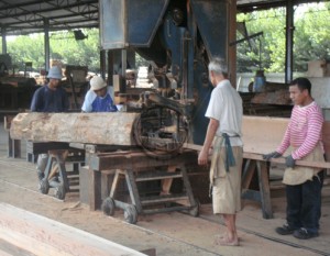 About Us - Lim's Timber